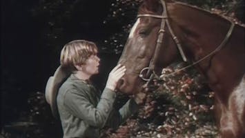 Watch The Red Stallion Online - STARZ