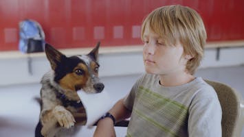 Watch Pups United Online - STARZ